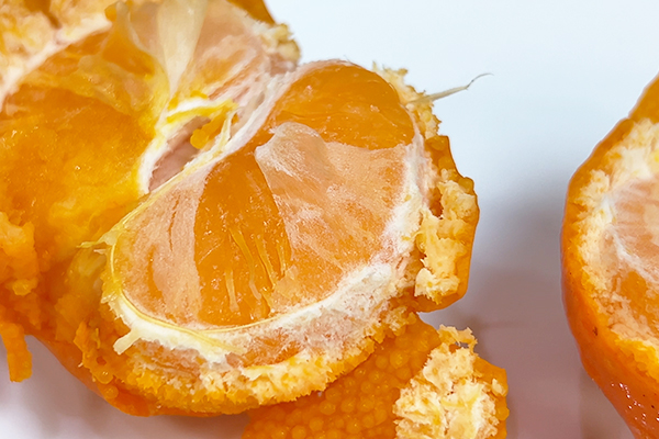 冷凍みかんの作り方 | みかんペディア | みかんのことなら「のま果樹園」 [ Produced by 株式会社乃万青果 ]